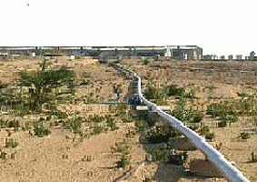 SuiGass Khamosh Qatil