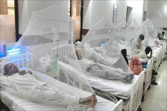 Dengue Machar Se Punjab Mutasir Hua - Social Urdu Article